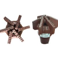 China Soft Formation Polycrystalline Diamond Drill Bits 225mm Diameter 6 Wings for sale