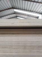 China Indoor Wooden Veneer Board Panel E1 Standard Paint-free Ecological Board for Mall for sale