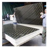China 12mm Film Faced Plywood E1 Grade Pine Core Melamine Veneer for Indoor Construction for sale
