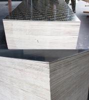 China 12mm Film Faced Plywood E1 Grade Pine Core Melamine Veneer for Indoor Construction for sale