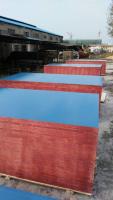 China FIRST-CLASS Plastic Laminated Plywood with High Production Standards and Competitive for sale