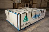 China FIRST-CLASS Plastic Laminated Plywood with High Production Standards and Competitive for sale