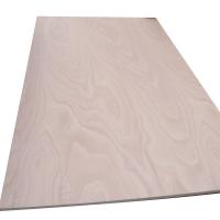 China Industrial Poplar Plywood E2 Grade 3 Year Warranty Local Vietnamese Face Back Veneer Board for sale