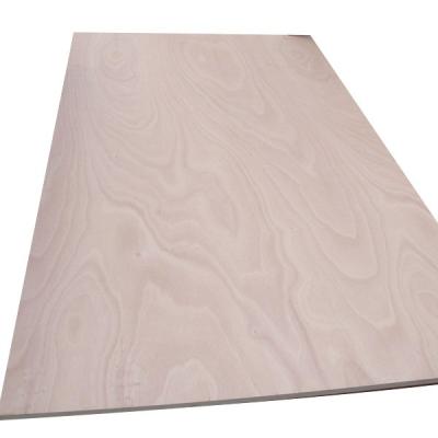 China Industrial Poplar Plywood E2 Grade 3 Year Warranty Local Vietnamese Face Back Veneer Board for sale
