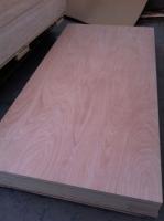China Industrial Poplar Plywood E2 Grade 3 Year Warranty Local Vietnamese Face Back Veneer Board for sale