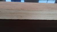 China Industrial Poplar Plywood E2 Grade 3 Year Warranty Local Vietnamese Face Back Veneer Board for sale