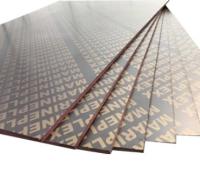 China Flexible Film Faced Plywood 1220x2440mm Double Sided for Hotel Decoration 18mm for sale