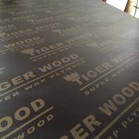 China Flexible Film Faced Plywood 1220x2440mm Double Sided for Hotel Decoration 18mm for sale