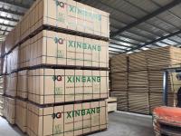 China Flexible Film Faced Plywood 1220x2440mm Double Sided for Hotel Decoration 18mm for sale