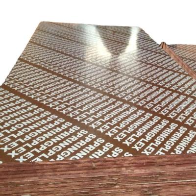 China Hotel Grade Pine Commercial Plywood 12mm 18mm for Packing Construction 1220x2440mm for sale