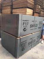 China Indoor First-Class Eucalyptus Wood Core Plywood with Advanced Raw Material Production for sale