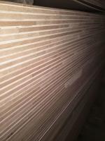 China Baltic Birch Wood Plywood 18mm E0 Grade Nonmetal Panel for Modern Interiors 1220x2745mm for sale