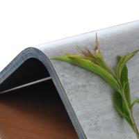 China Eco-Friendly High Pressure Resin Laminated Panels 3 Years Warranty for Indoor Design for sale
