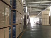 China High Level Production Technology Chipboard for Apartment Surface Finishing Solutions for sale