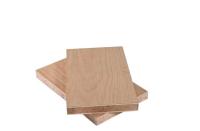 China Birch Wood Veneer Furniture Plywood 1220x2745mm E0 Grade for Modern Design for sale
