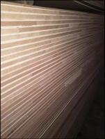 China Birch Wood Veneer Furniture Plywood 1220x2745mm E0 Grade for Modern Design for sale