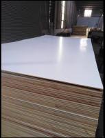 China Full Birch Core Baltic Birch Wood Plywood E0 6mm 18mm 25mm for Nonmetal Panel Furniture for sale