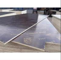 China Pine Shuttering Anti-Slip Plywood 4x8 9mm 12mm 15mm 18mm 21mm for Construction for sale