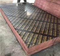 China Pine Shuttering Anti-Slip Plywood 4x8 9mm 12mm 15mm 18mm 21mm for Construction for sale