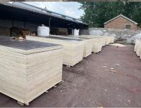 China Pine Shuttering Anti-Slip Plywood 4x8 9mm 12mm 15mm 18mm 21mm for Construction for sale