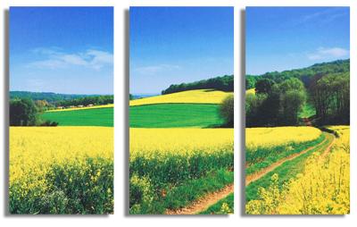 China Home Art Printed Acoustic Panel Soundproof Board Wall Decoration Painting for sale