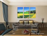 China Home Art Printed Acoustic Panel Soundproof Board Wall Decoration Painting for sale