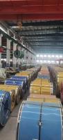 China ASTM DN Galvannealed Stainless Steel Coils Hot Colled 0.3mm Thickness for sale