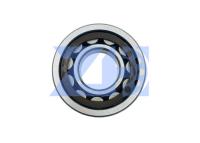 China Suitable For M2X55 Slewing Motor Bearing Color Silver for sale