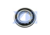 China Suitable For  DNB50/60 Stravel Motor Bearing for sale