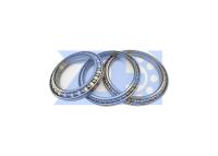 China Excavator Walking Bearing 184BA2251 184x226x21mm Chrome Steel P0-P4 for sale