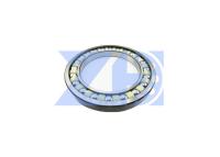 China Excavator Bearing 250BA36S1 250x360x44mm Angular Contact Ball Bearing GCR15 P6 for sale