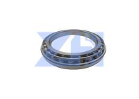 China Excavator Walking Bearing BA240-5 240x308x32mm Chromium Steel GCR15 for sale