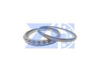 China Excavator Walking Bearing BA240-5 240x308x32mm Chromium Steel GCR15 for sale