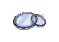 China Excavator Walking Bearing SF4007PX1 Nylon Cage 220x295x32mm Chromium Steel GCR15 for sale