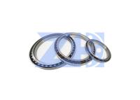 China Excavator Walking Bearing SF4454PX1 Nylon Cage 220x295x33mm Chromium Steel for sale