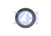China Excavator Walking Bearing SF4903 246x308x32mm Ball Bearing HR60-63 for sale