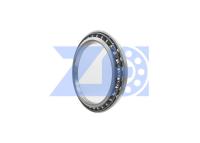 China Excavator Walking Bearing BA246-1 246-1 Size: 246x308x32mm for sale