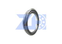 China Excavator Walking Bearing BA246-2A 246x313x32mm Chromium Steel Open Type for sale