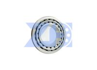 China Hydraulic Pump Bearing A8V86 A8-V86 for Rexroth A8VO200 High Quality for sale