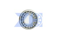 China A8V0160 A8V-0160 Hydraulic Pump Bearing for Excavator 330B ISO Standard for sale