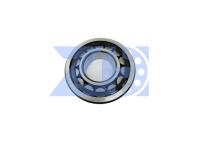China Suitable  Hydraulic Pump Bearing External Gear Type SBS140  140 for sale