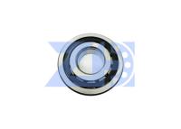 China Hydraulic Pump Bearing AP2D25 AP2-D25 P0 P6 P5 P4 Precision for Putzmeister Concrete Pump for sale