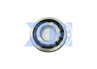 China Suitable  Hydraulic Pump Bearing External AP2D36  AP2-D36 for sale