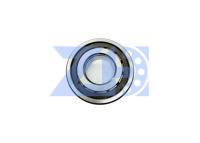 China Hydraulic Pump Bearing External SBS80 80 for Putzmeister Concrete Pump P0-P4 for sale
