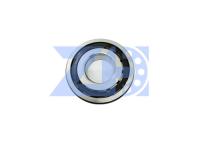 China Suitable  Hydraulic Pump Bearing External NV111 111 for sale
