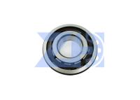 China Suitable Hydraulic Pump Bearing External NV111 111 Roller Bearing ISO Standard -20 to 80 Celsius for sale