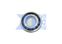 China Suitable  Hydraulic Pump Bearing External HPV55   55 for sale