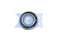 China Excavator Hydraulic Pump Bearing for HPV132 P0 P6 P5 P4 High Precision for sale