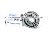 China 06NU0721VHC3 Cylindrical Roller Bearing 30x72x21mm High Precision for sale