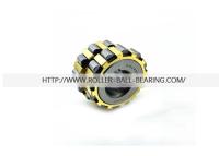 China Eccentric Cylindrical Roller Bearing 22UZ831729 22UZ831729T2 22x54x32mm for sale